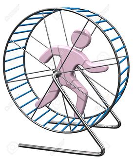 La rueda del hámster - Claridad