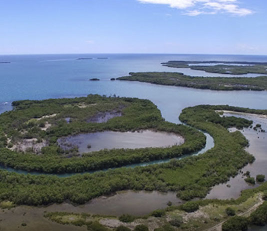 El valor natural y arqueológico de la bahía de Jauca - Claridad