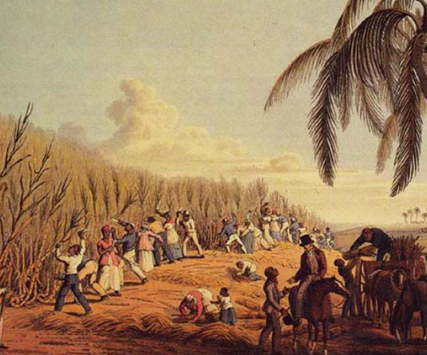 Representaciones de Estados Unidos en el siglo 19 puertorriqueño ...